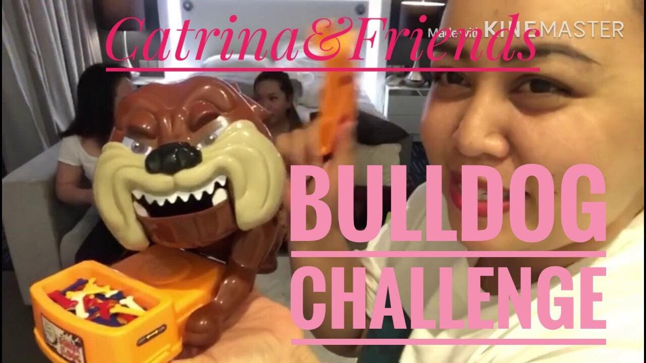 Funny Video - Bad Dog Challenge - YouTube