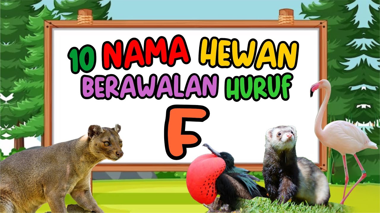 10 NAMA HEWAN BERAWALAN HURUF F - YouTube