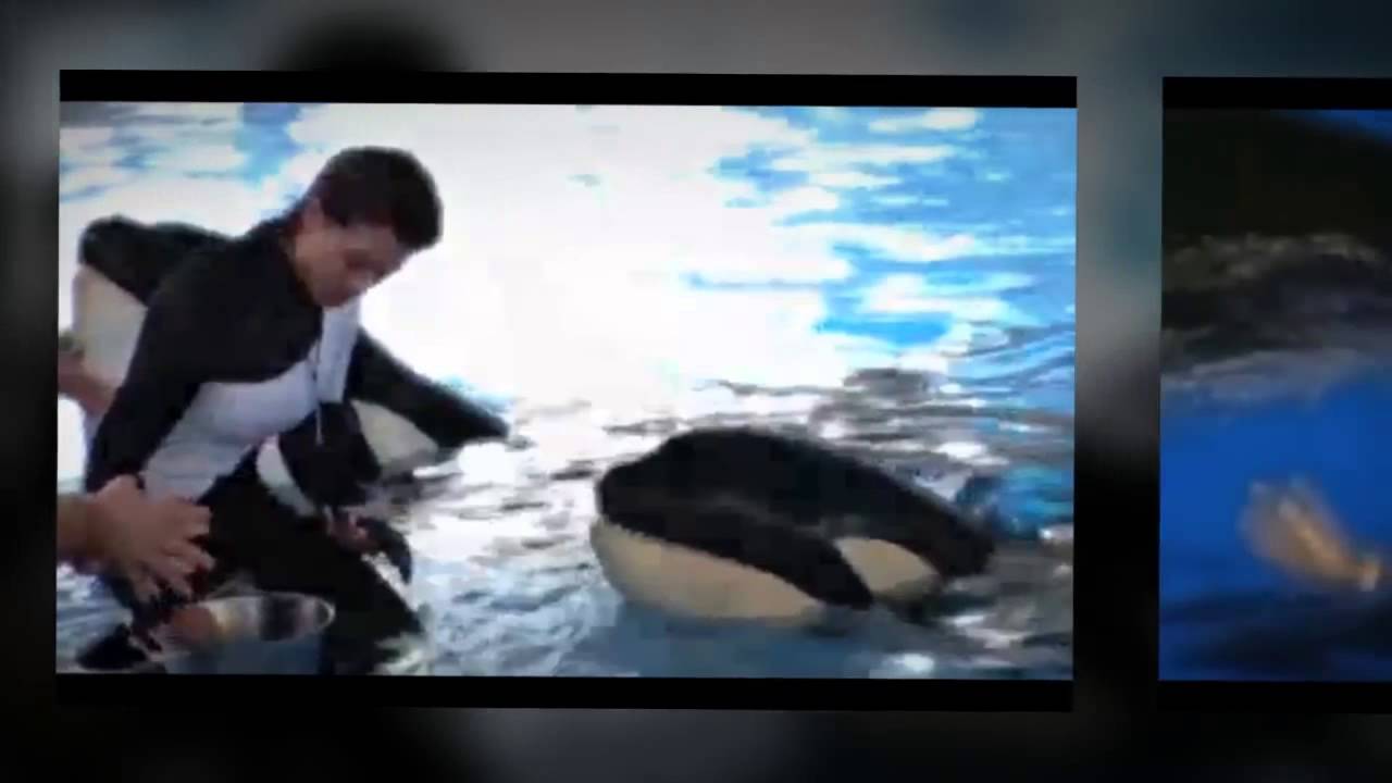 lAURA SUROVIK MY HERO - YouTube