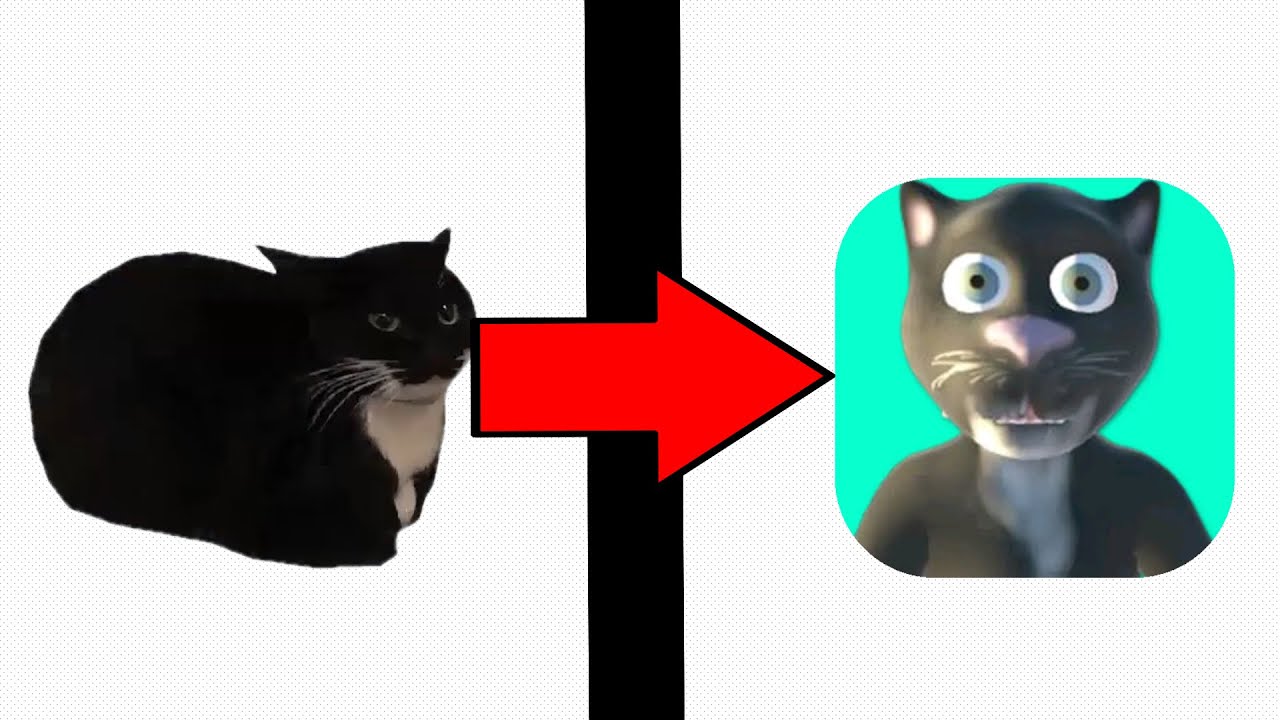 Maxwell cat But Talking Maxwell - YouTube