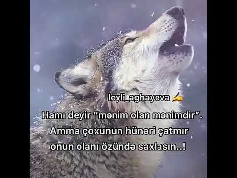 Mənim olan yalnız mənimdir ❤💋