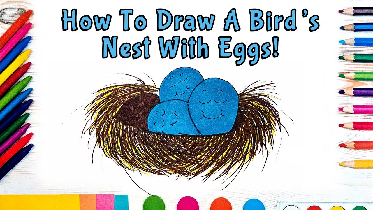 How To Draw A Bird s Nest With Eggs Art For Kids Easy Step By How To Draw A Bird s Nest With Eggs Art For Kids Easy Step By