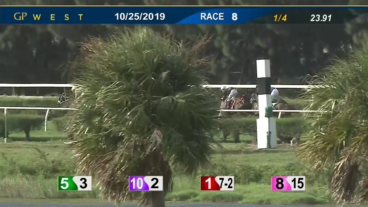 GP West Carrera 8 - 25 de Octubre 2019 - YouTube
