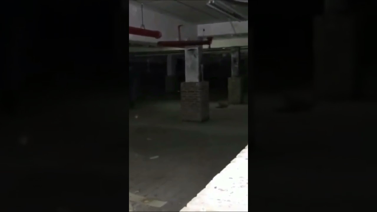 Shadow Figure Caught on Camera - YouTube