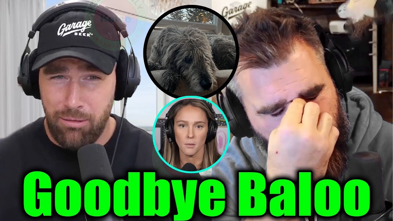 Travis Kelce's Pitiful Reaction to Jason Discussing Kylie Kelce's Dog ...