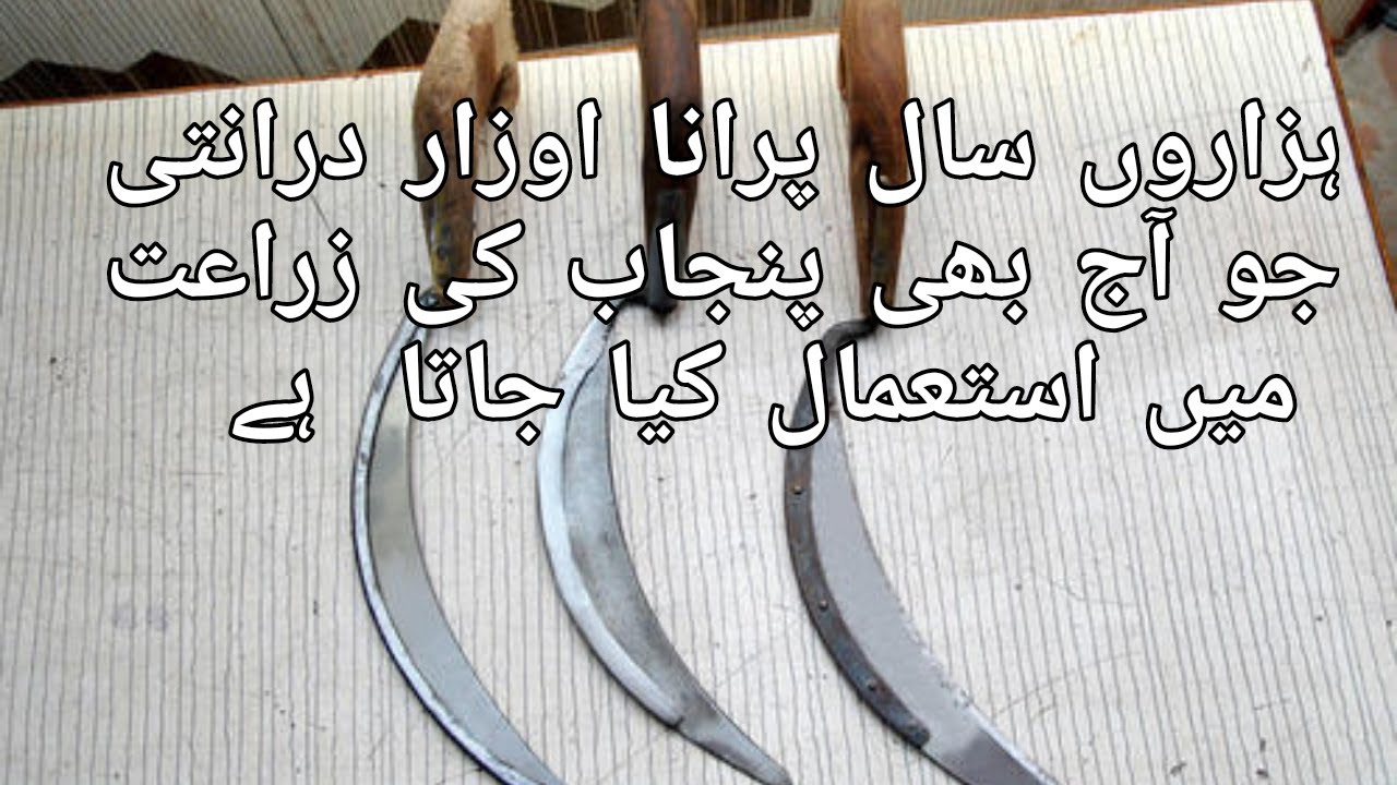 how make to dranty,punjab ki zaraat ki pehchan or husan dranti, - YouTube