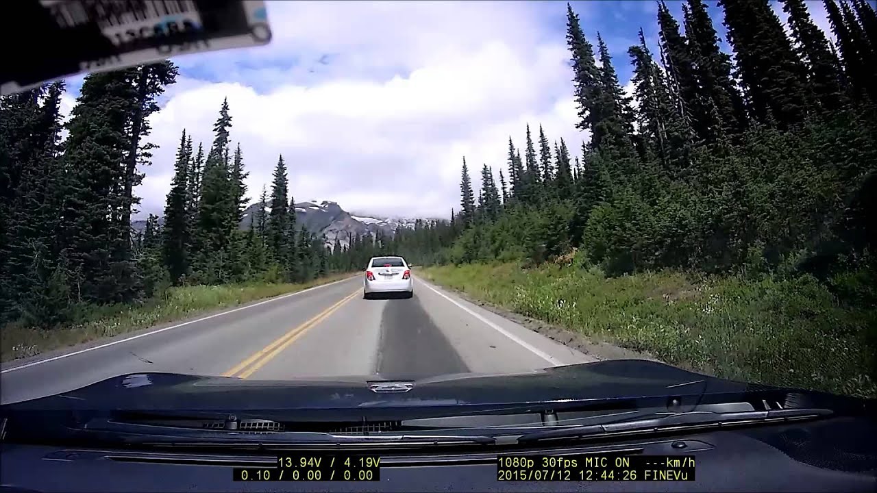 Flying Deer - YouTube