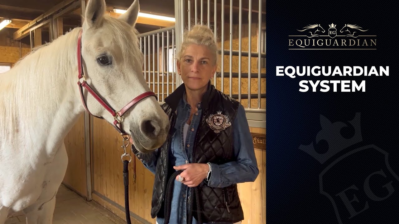 EquiGuardian system - YouTube
