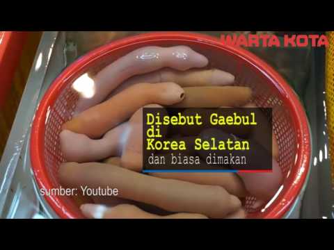 ikan penis ternyata ada