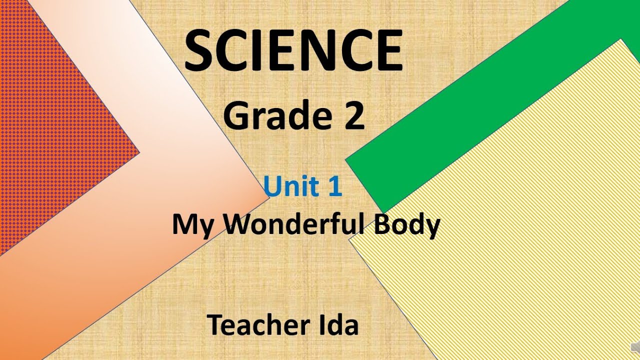 My Wonderful Body (Unit 1 grade 2) - YouTube