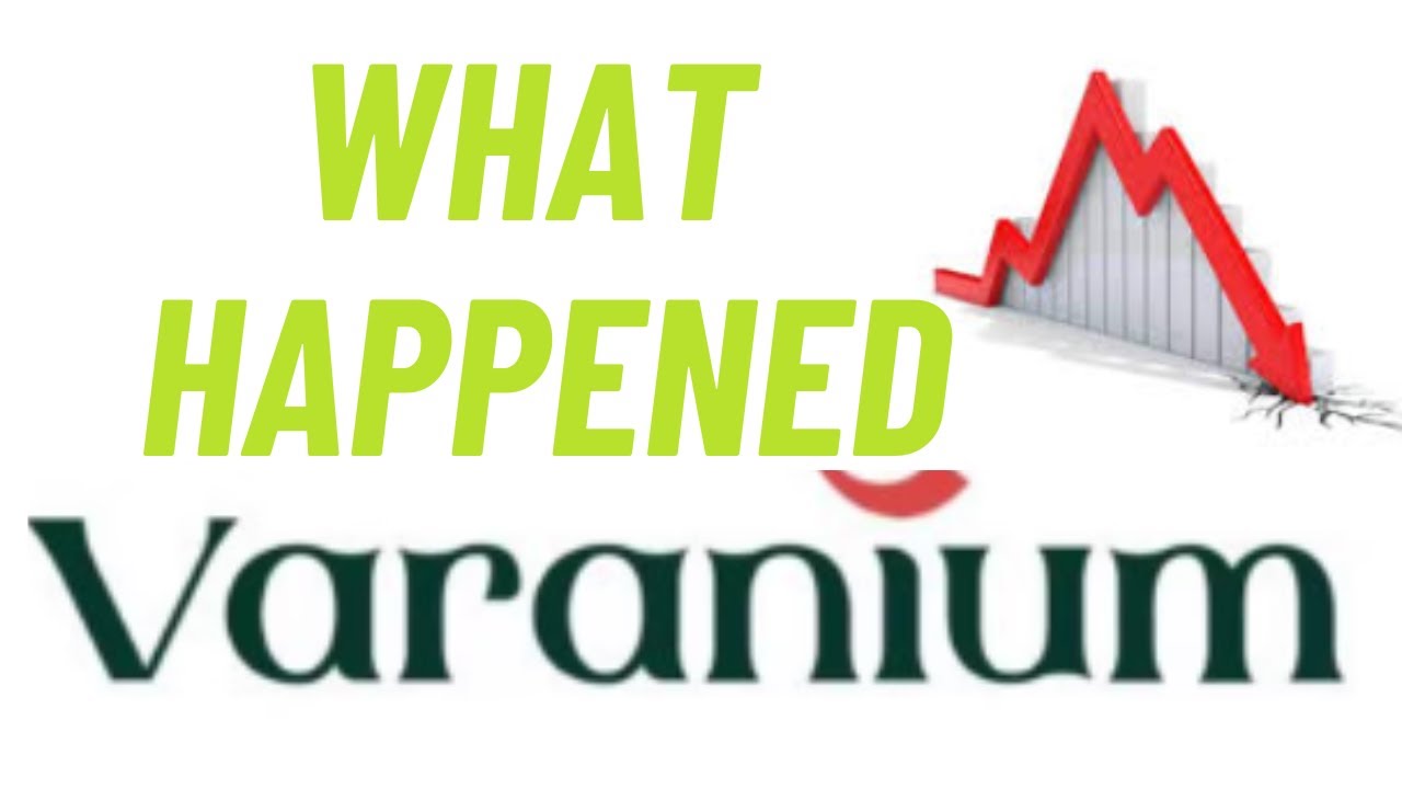 Why Varanium Cloud Share price fall?? II Classic Example of Corporate ...