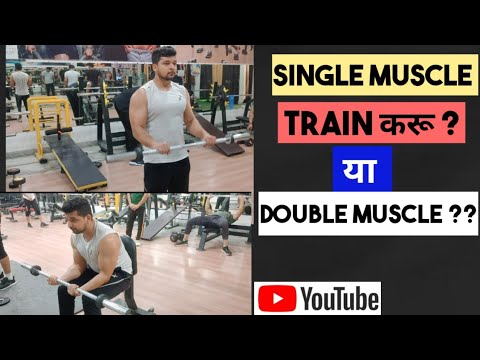 Which is Best Single Muscle or Double Muscle?# ...
