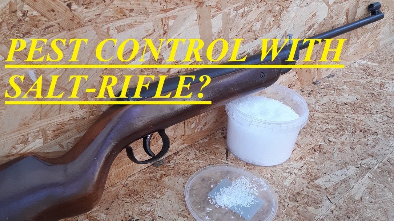 Things that preppers should think about: Pest control. (+Salt rifle ...