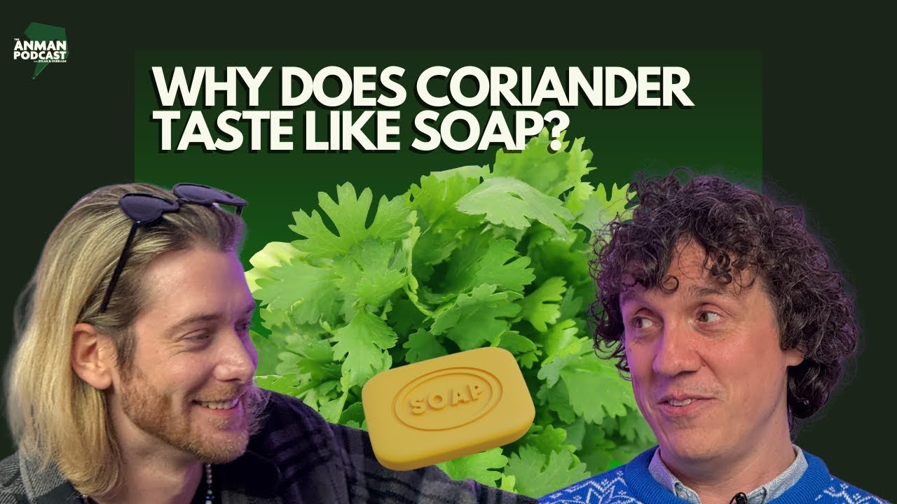 🌶️ Why Does Coriander Taste Like Soap? | Cheap TVs, Phobias & Brass ...