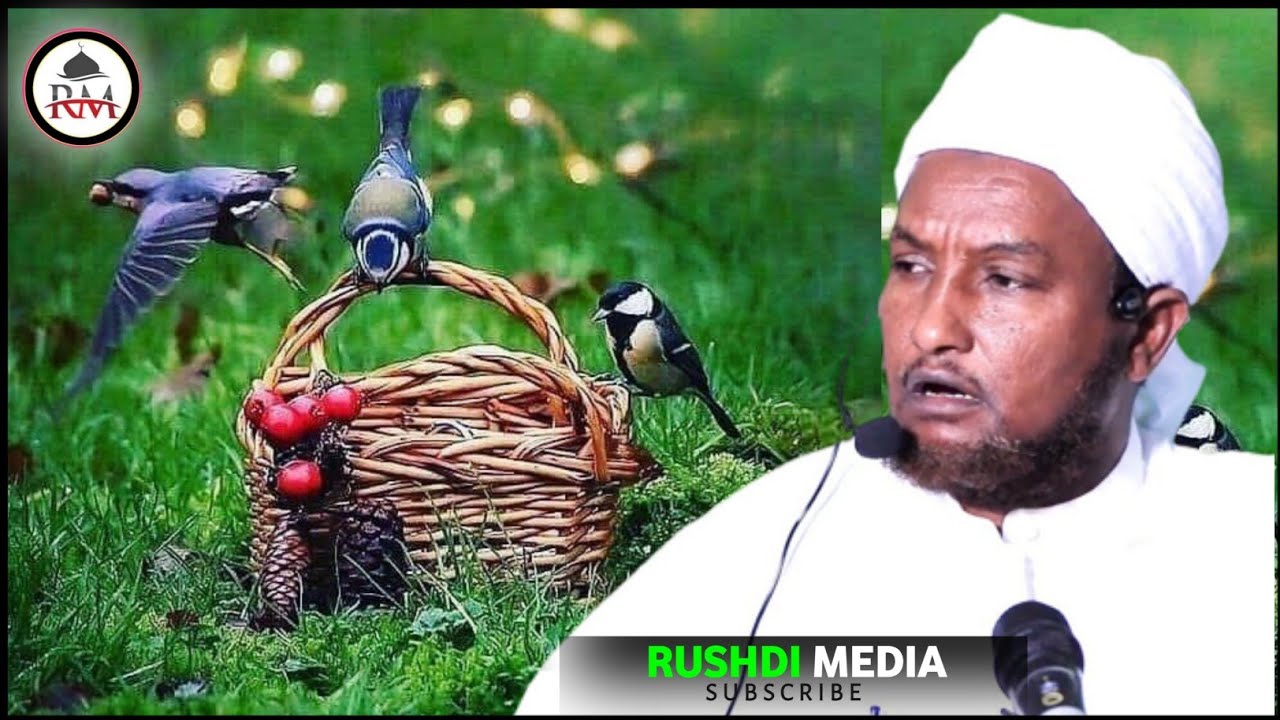 Muxaadaro┇Raaxo Ma rabtaa.?┇Sh Xuseen Cali Jabuuti - YouTube