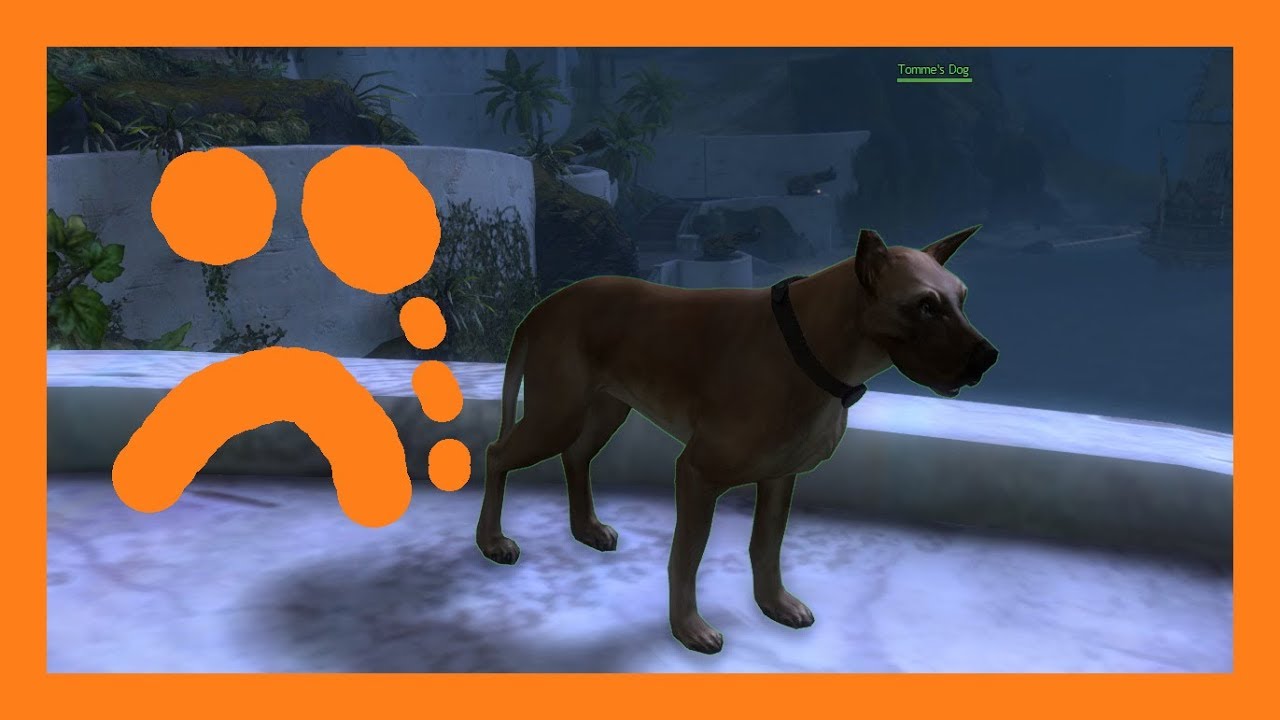 Guild Wars 2 - Krytan Drakehound Pet Locations - YouTube