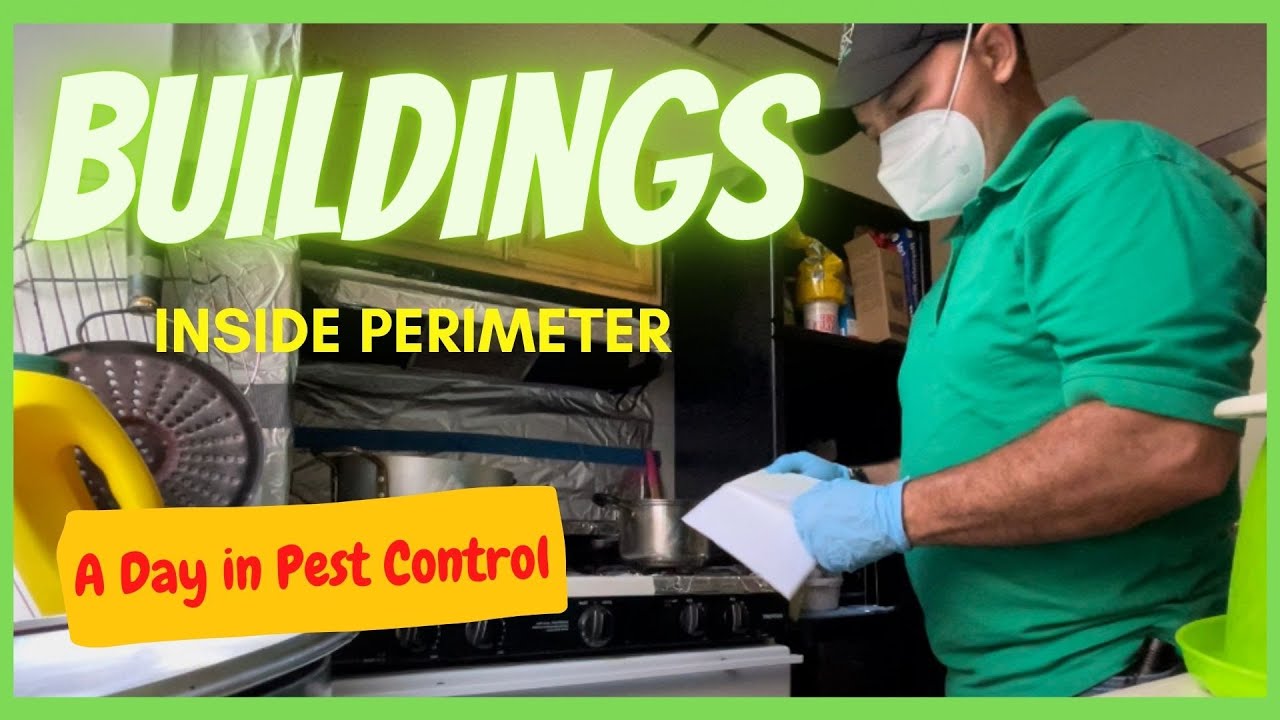 How to do Pest Control in Buildings. May 17 - YouTube