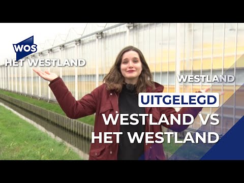 Westland vs Het Westland