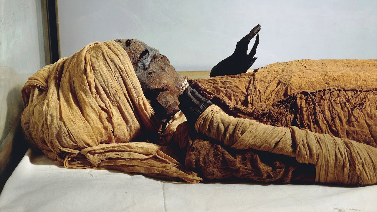 Egyptian Pharaoh's Mummified Body Gives Up Its Secrets, 43% OFF