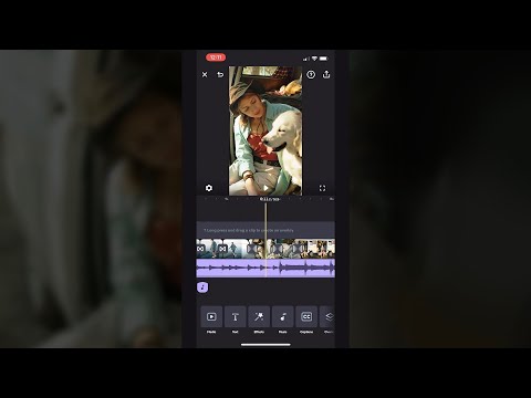 Splice: The Basics