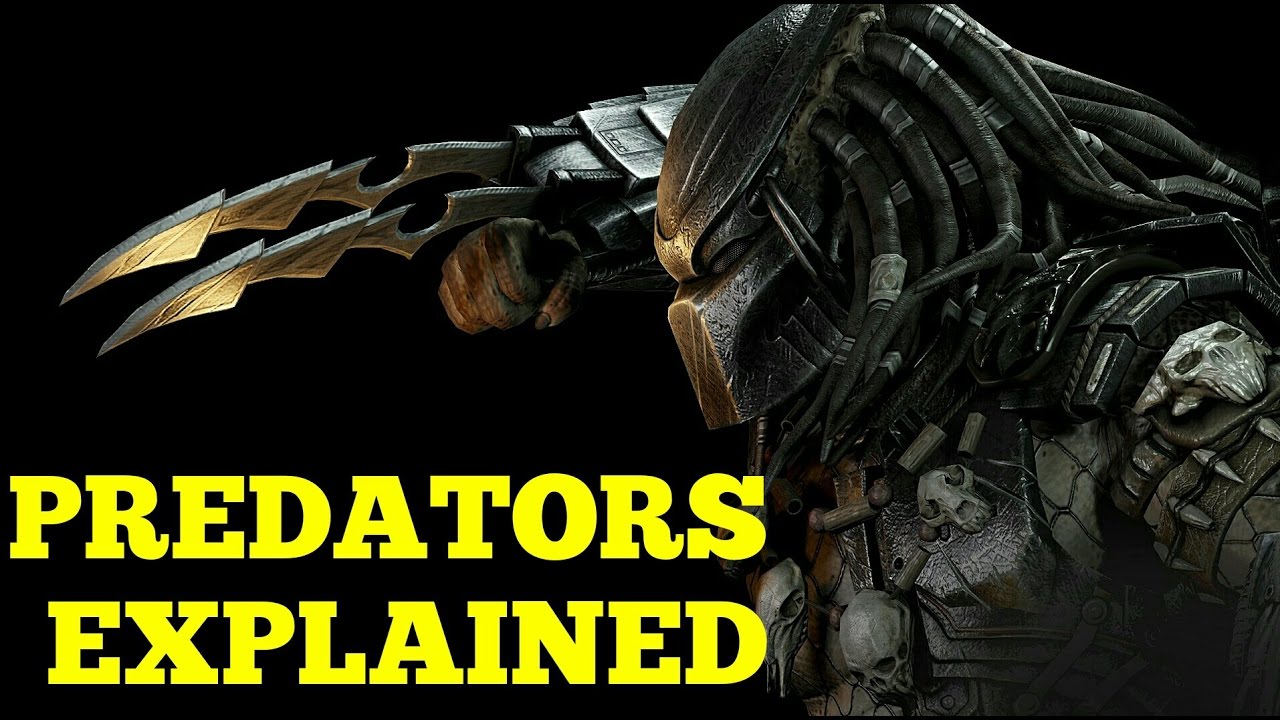 Predators - Explained (Canon) - YouTube