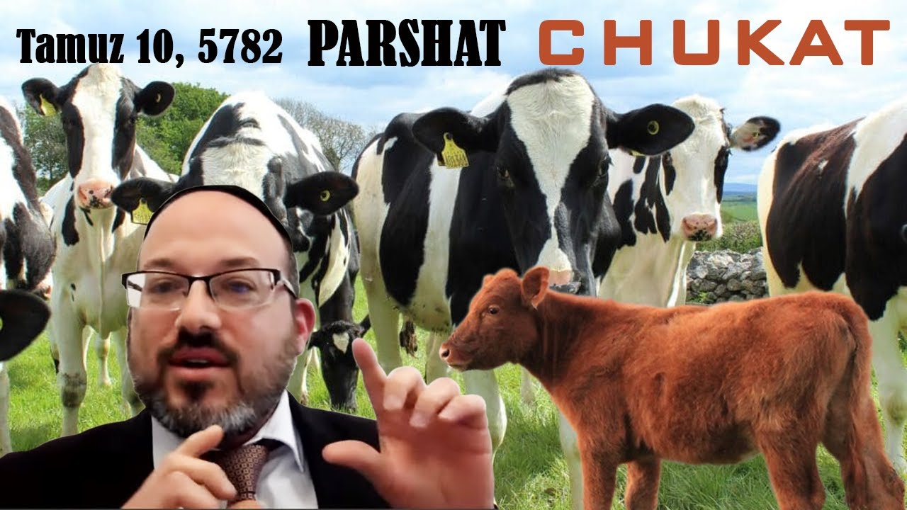 Parshat Chukat - Numbers 19 - for Shabbat 07.09.2022 WEEKLY PARSHA with ...