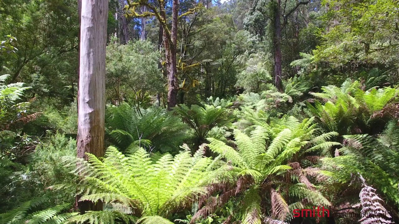 285 Blacksands Rd, Three Bridges, Victoria , Australia - YouTube