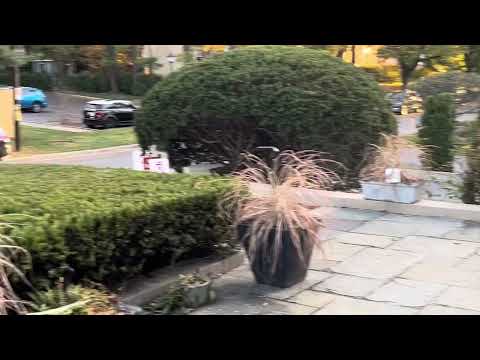 4K 🇺🇸| Imaam Center Masjid | Silver Spring, Maryland - YouTube