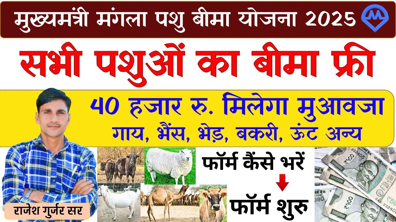 Cm Mangla Pashu Bima Yojana 2024 | Mangla Pashu Bima Form Shuru 2025 ...