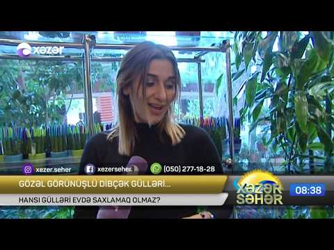FAYDALI VE ZERERLI DIBCEK GULLERI