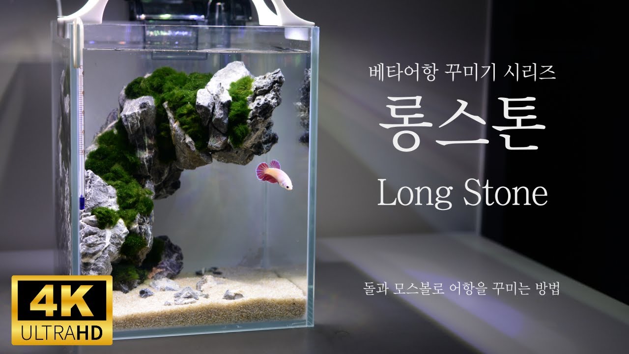 포켓몬 아니고 그냥 돌이 길어서 롱스톤 - YouTube