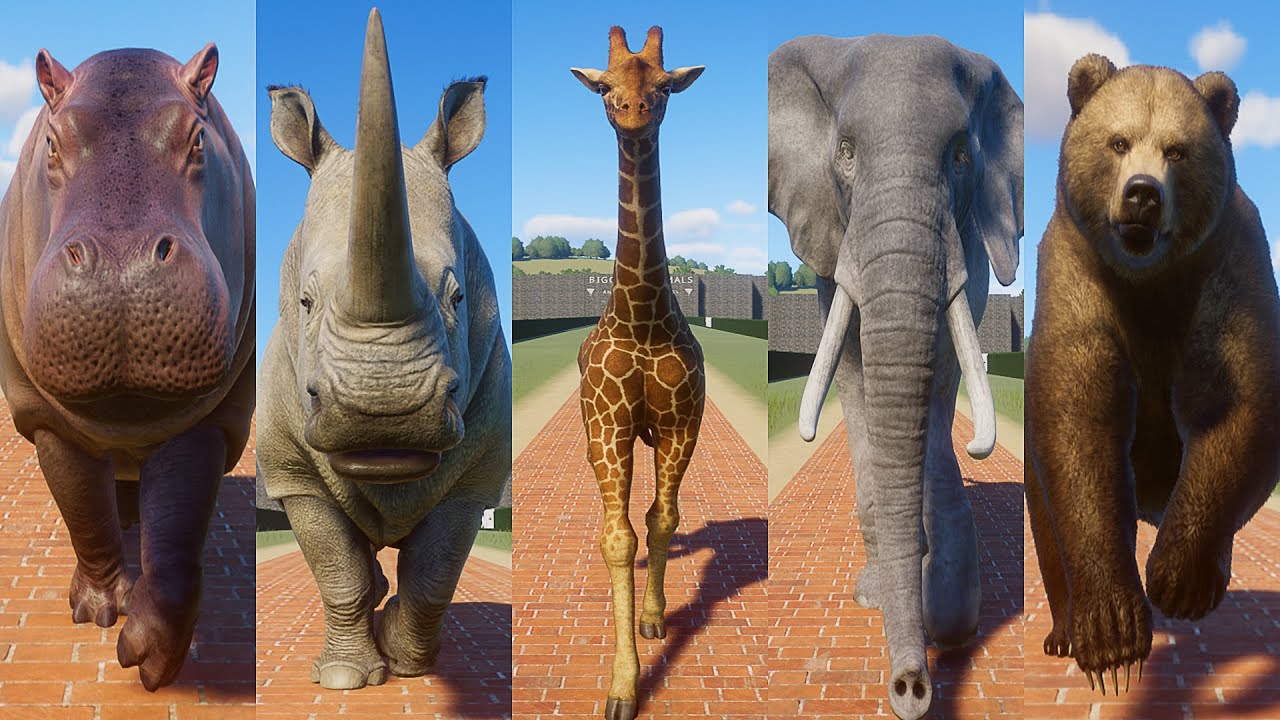 Most Reliable Runner Animal in Biggest Animals Category Planet Zoo ...