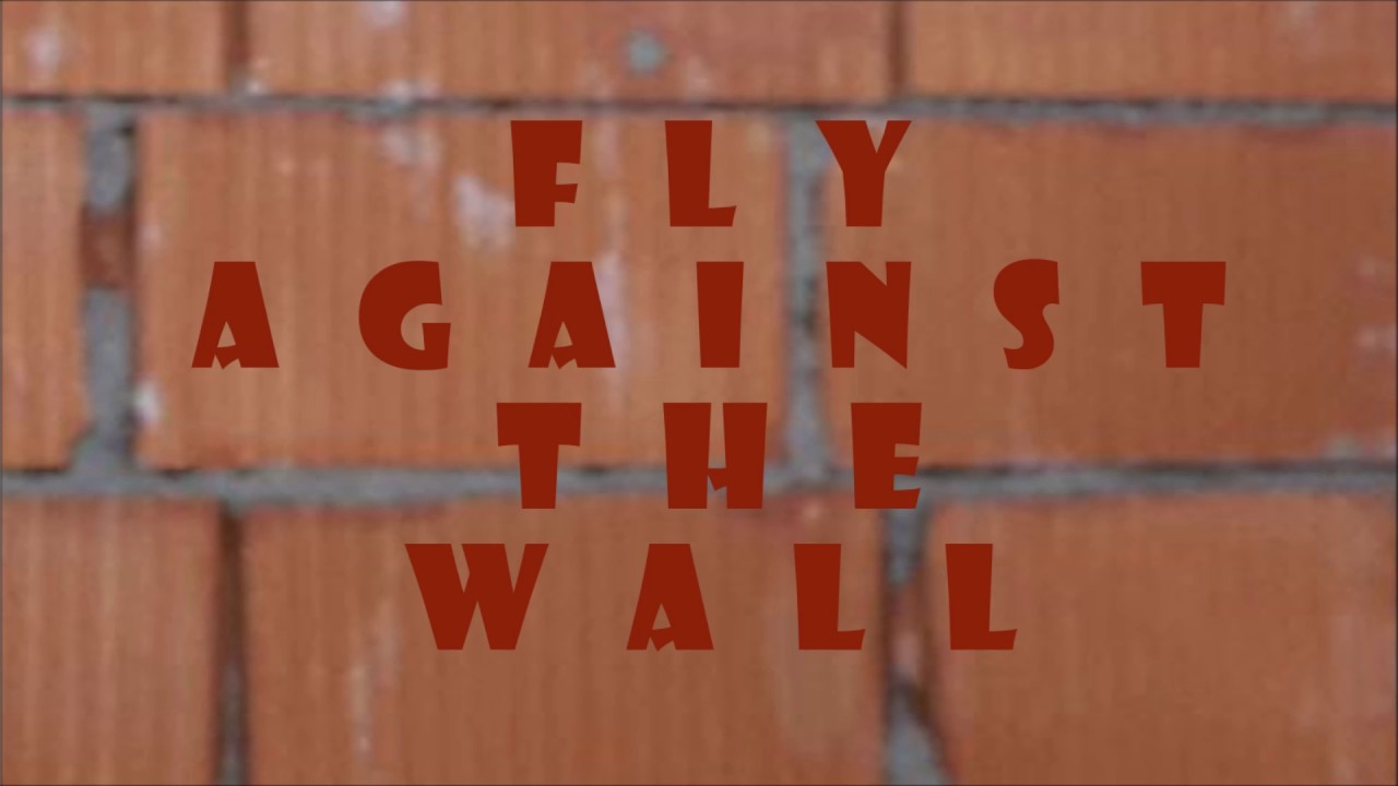 Fly Against The Wall - YouTube