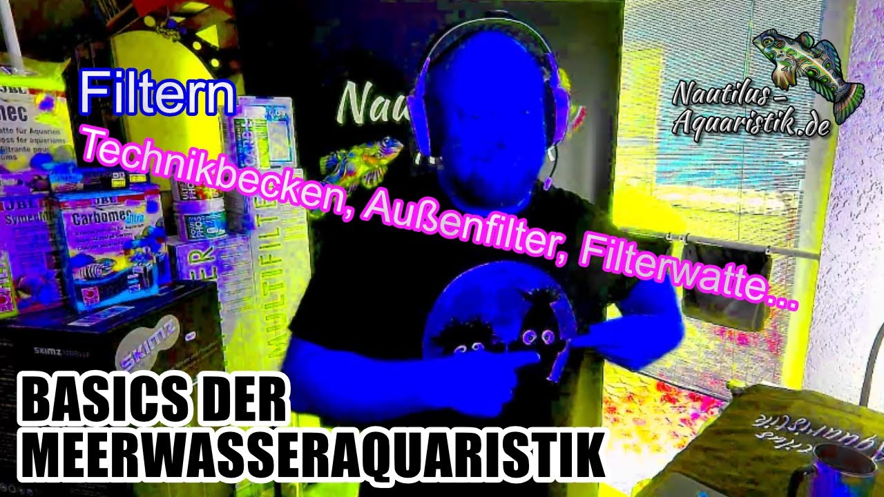 Basics der Meerwasseraquaristik - Filtern - YouTube