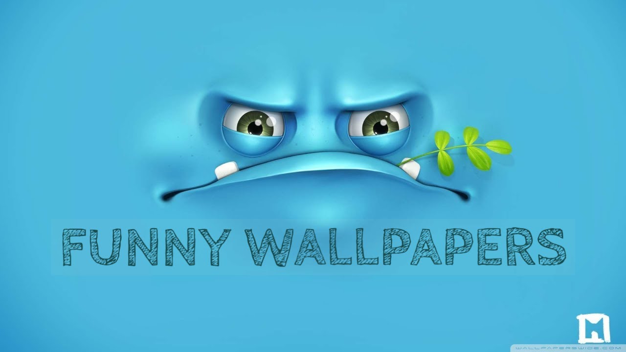 Wallpaperswidecom Funny Hd 🔥 [100+] Crazy Funny Wallpapers