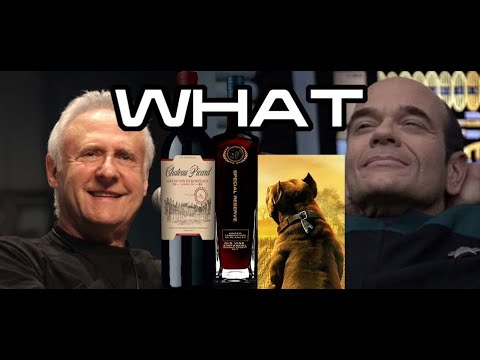 Star Trek Picard: Data? Picardo? Dog? Wine? - YouTube