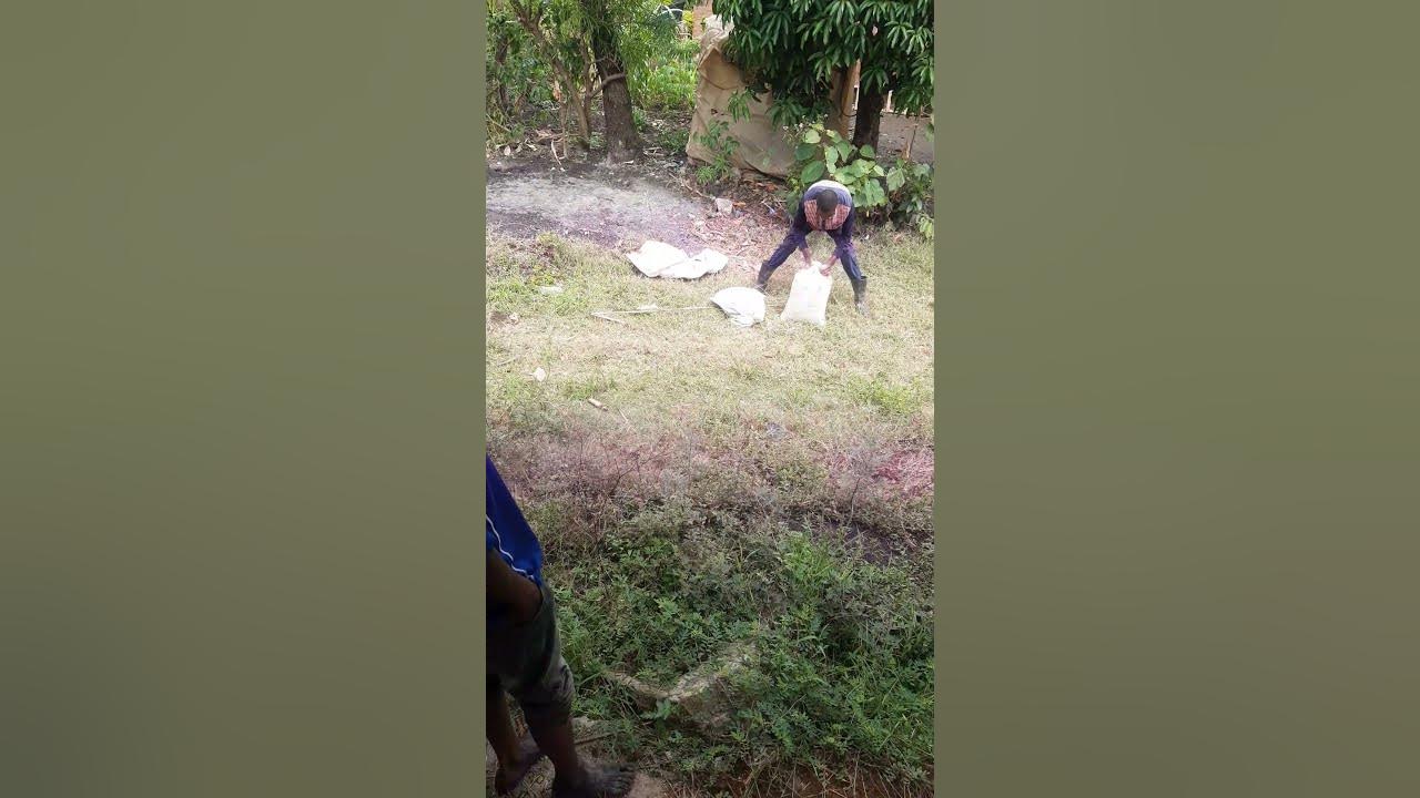 Mwamba kabeba cemen kl 50 na men - YouTube