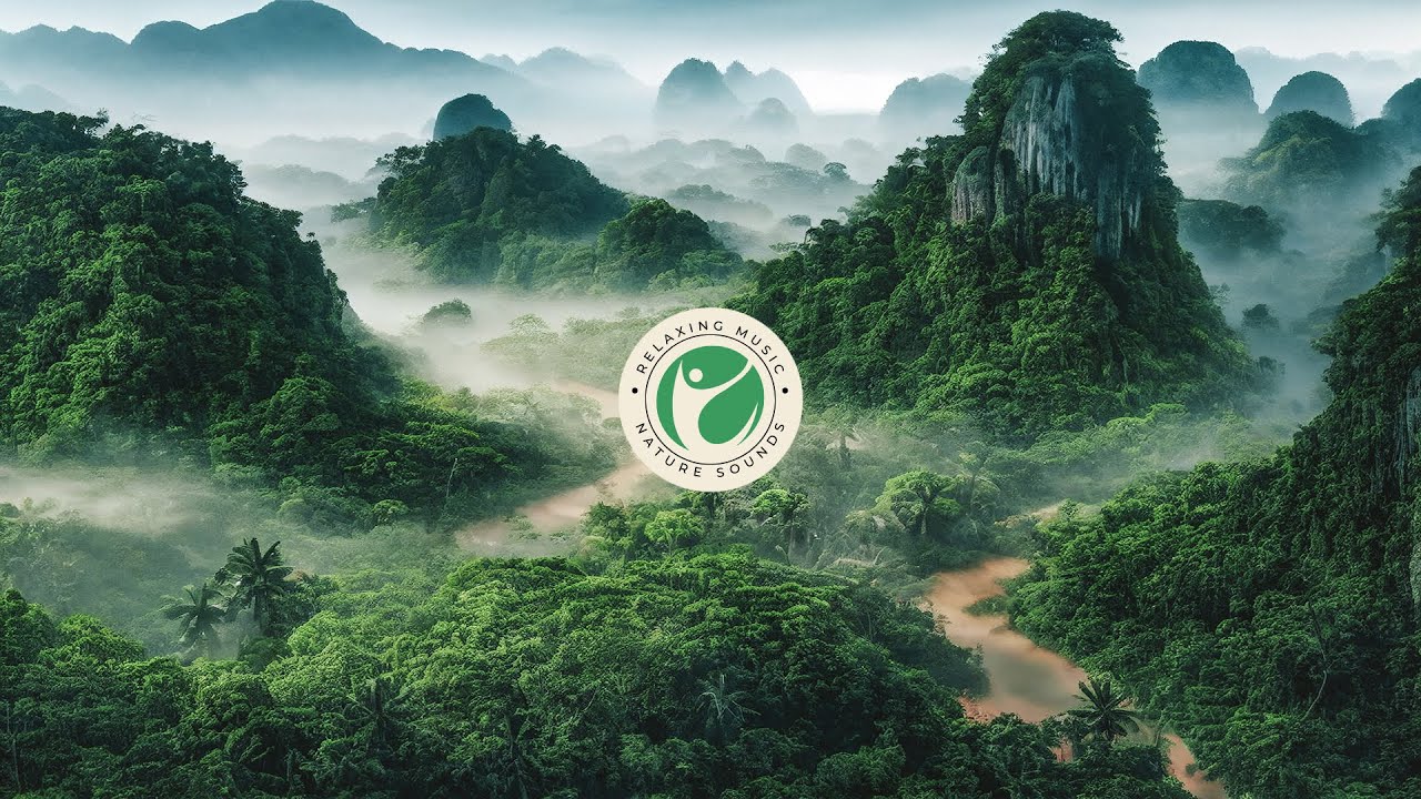 The Best Way to Relax with Nature - Rainforest - YouTube