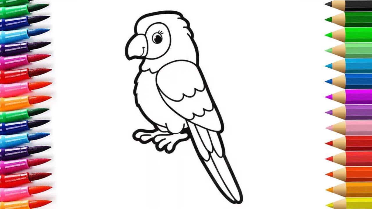 How to draw flying rainbow bird's drawing easy step by step with colour ...