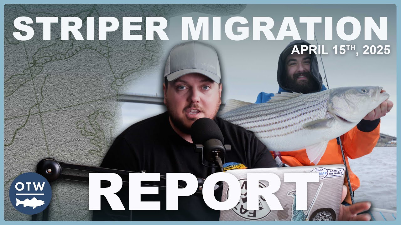Striper Migration Report | April 15th 2025 - YouTube