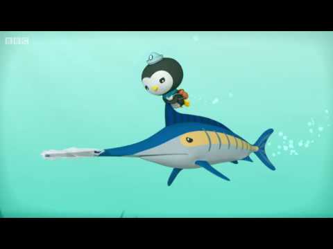 Octonauts | Season 3 | The Pelicans | Full Episode - YouTube