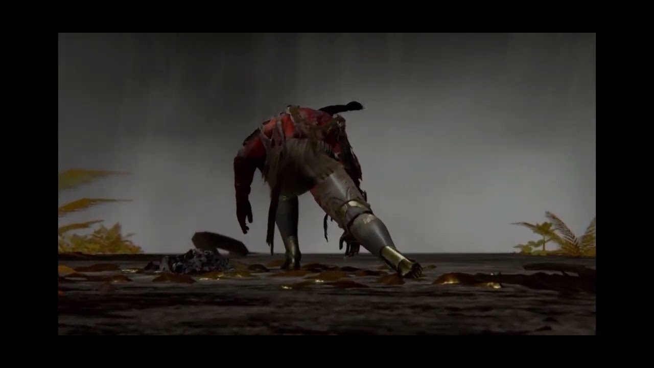 The fallen leaves tell a story - YouTube