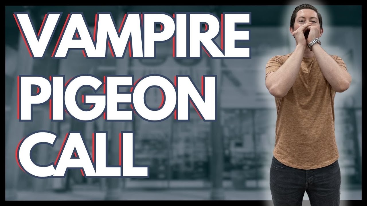 Vampire Pigeon Has Landed! - YouTube