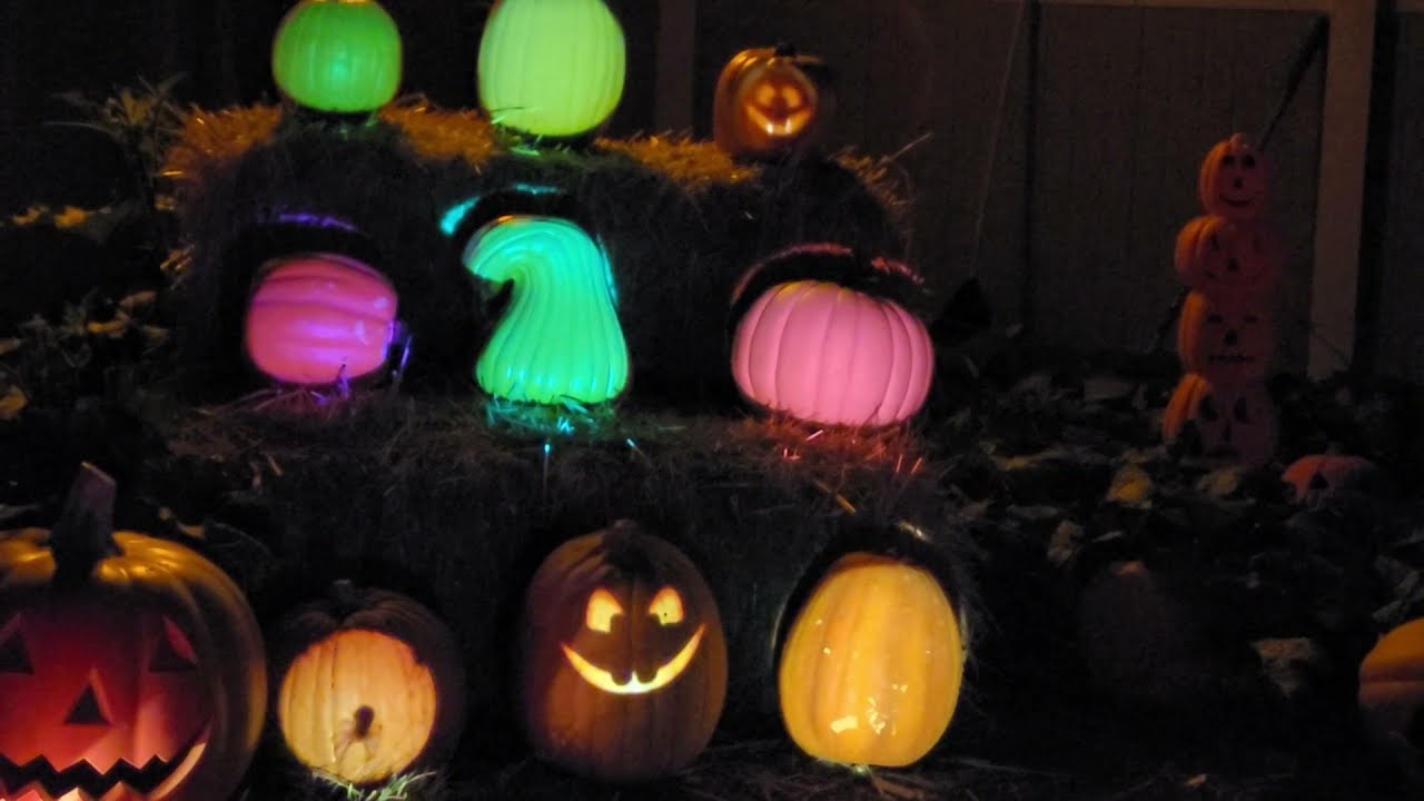 Pumpkin Patch Projection Mapping - YouTube