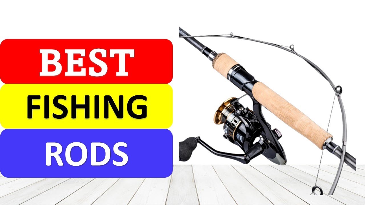 TOP 10 Best Fishing Rods in 2022 - YouTube