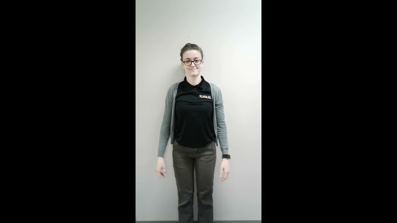 Wall Snow Angel Exercise - YouTube
