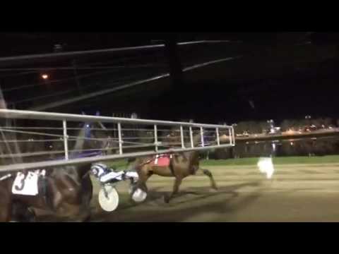 Cal-expo harness races 3/4/17 - YouTube