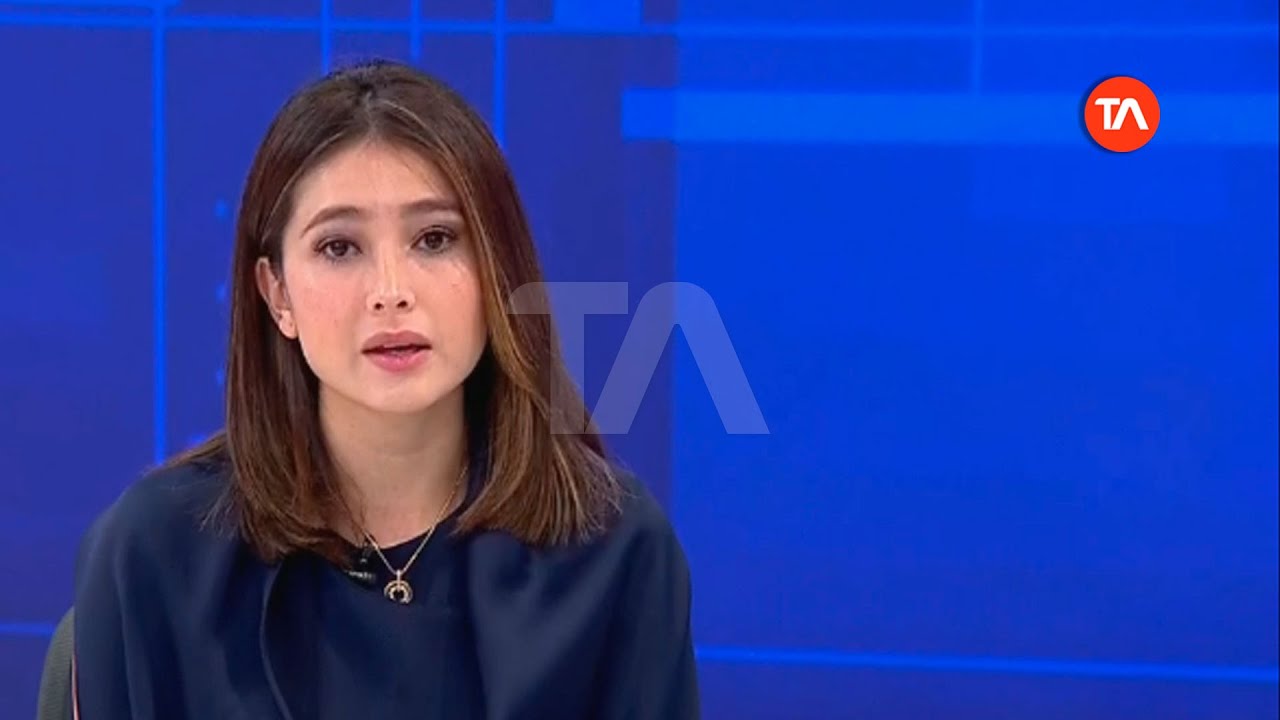 Karen Sichel, asesora jurídica de la Presidencia, sobre preguntas de ...