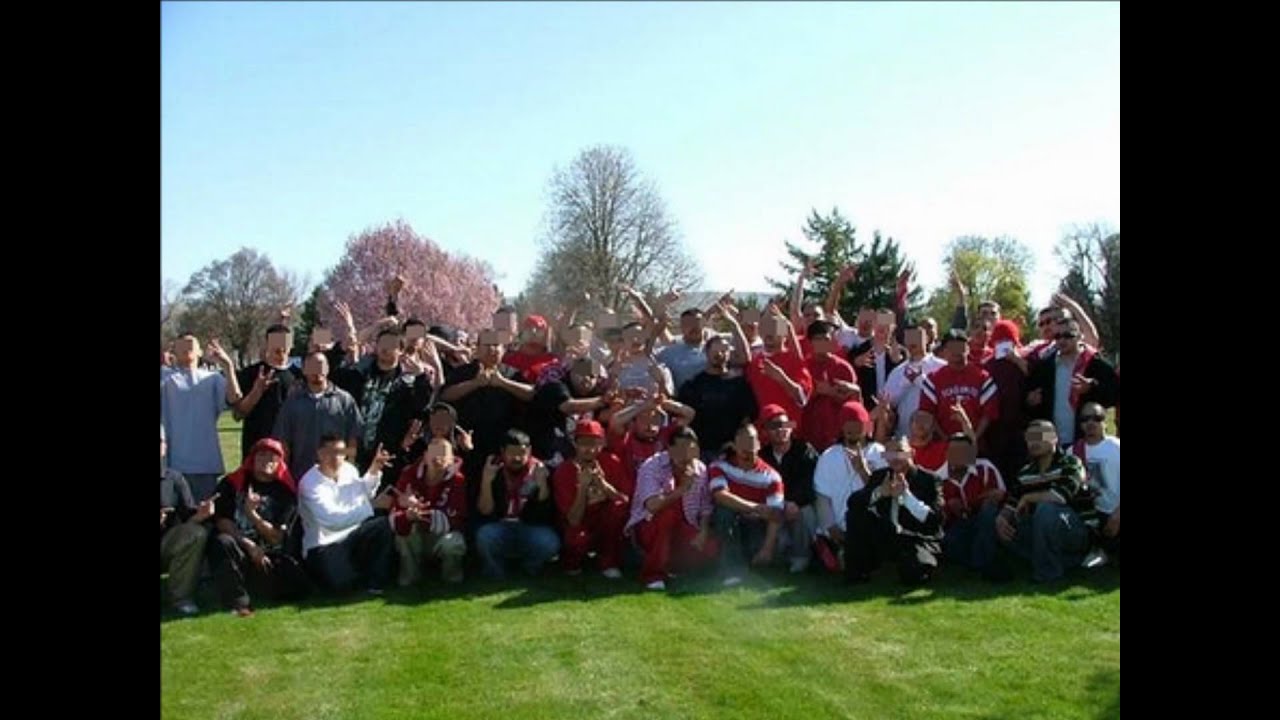 Norte Gang XIV - YouTube