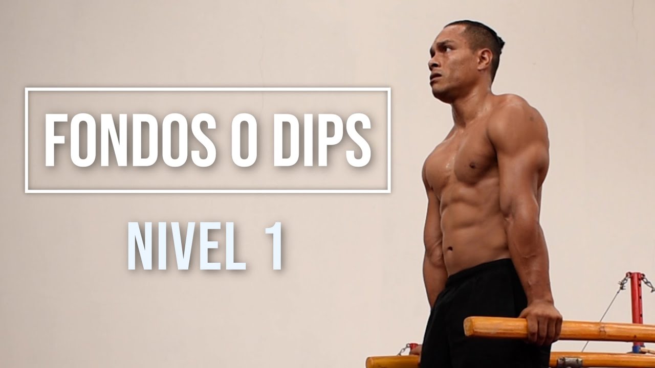 Fondos en Barras Paralelas Nivel 1 (DIPS) - Entrenamiento incluido ...